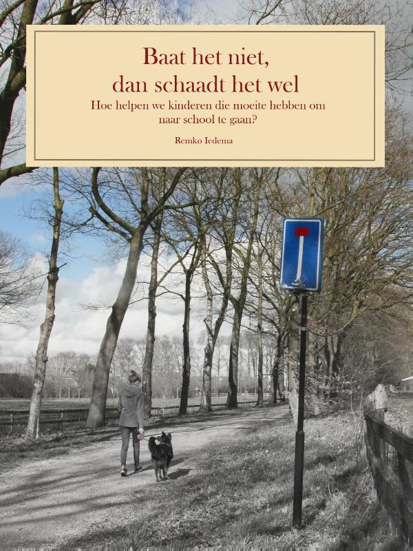 Baat het niet, dan schaadt het wel van Remko Iedema bestellen?