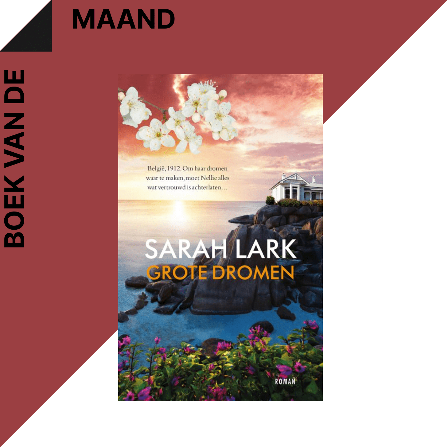 Boek van de maand